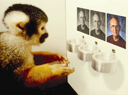 Remembering Jerry Jacobs (1934-2025) | Psychological & Brain Sciences ...